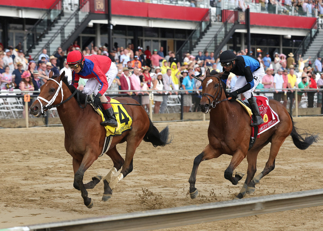 Awesome Aaron Records First Graded Stakes Victory In Pimlico Special