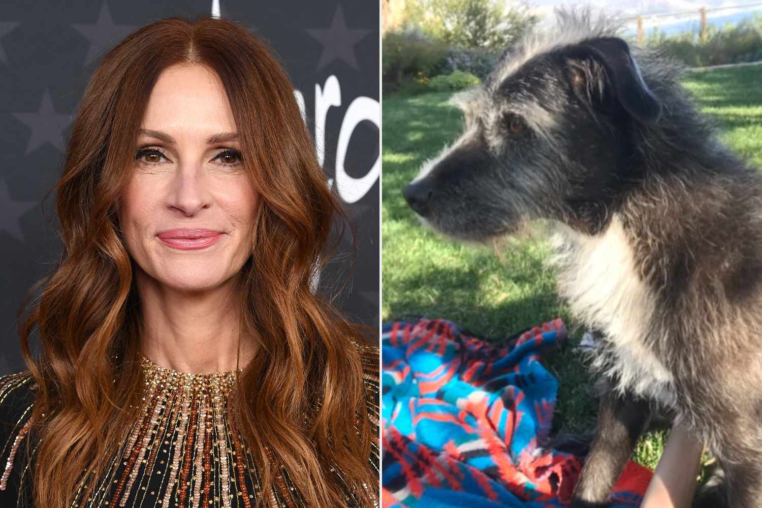 Julia Roberts Announces Death of Her Legendary 19-Year-Old Dog Myrtle
