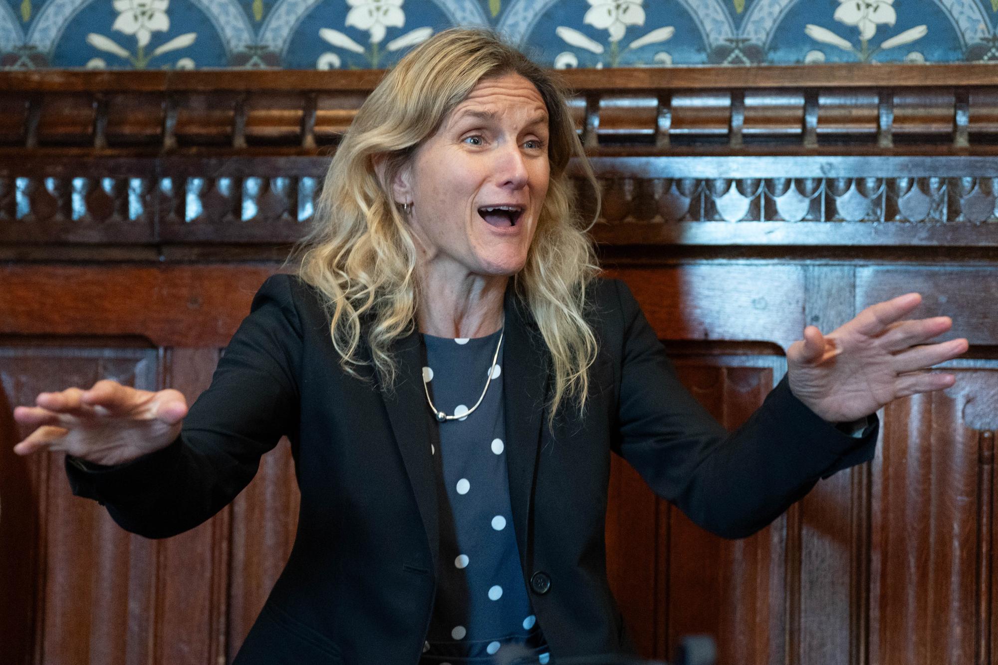 Alliance, DUP, TUV MPs all alarmed at assisted dying debate at Westminster