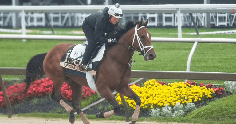 Preakness Stakes 150 Picks: Journalism is still the Horse to Beat