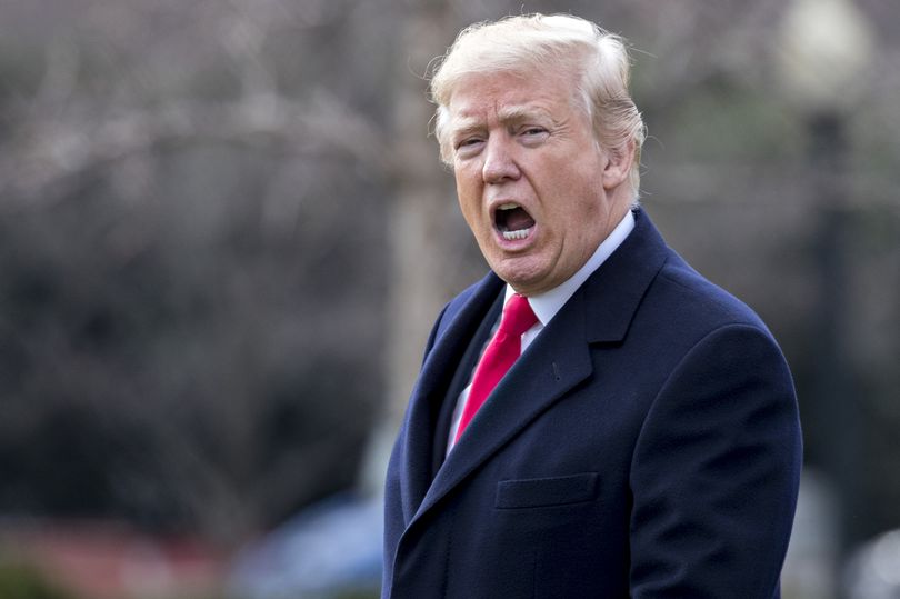 Trump's Truth Social mysteriously down minutes after attack on Taylor ...