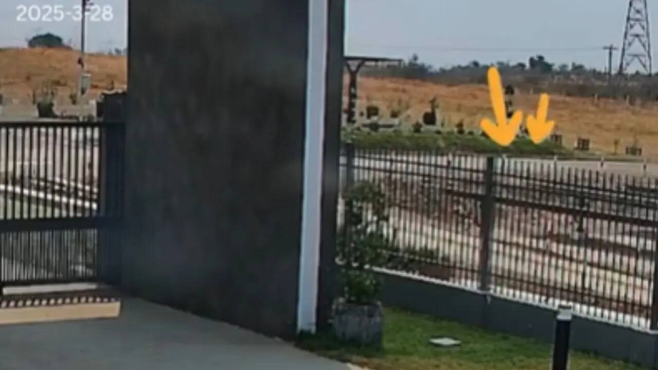 1st-Ever Real-Time Footage of Fault Rupture: Ground Splits Open During ...