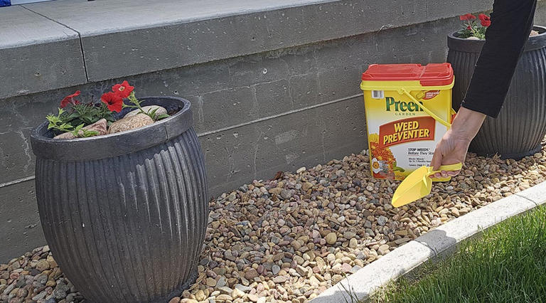 I Tried Ace Hardware’s YardRx Program From Spring to Fall—Here’s How My ...