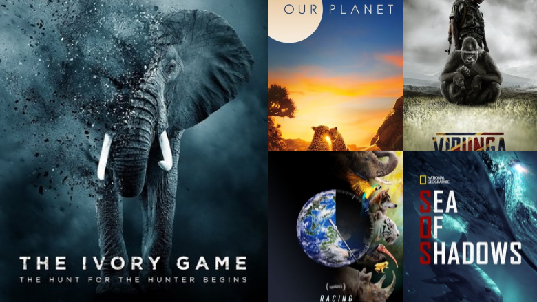 Endangered Species Day - 8 Powerful Documentaries About Animals on the ...