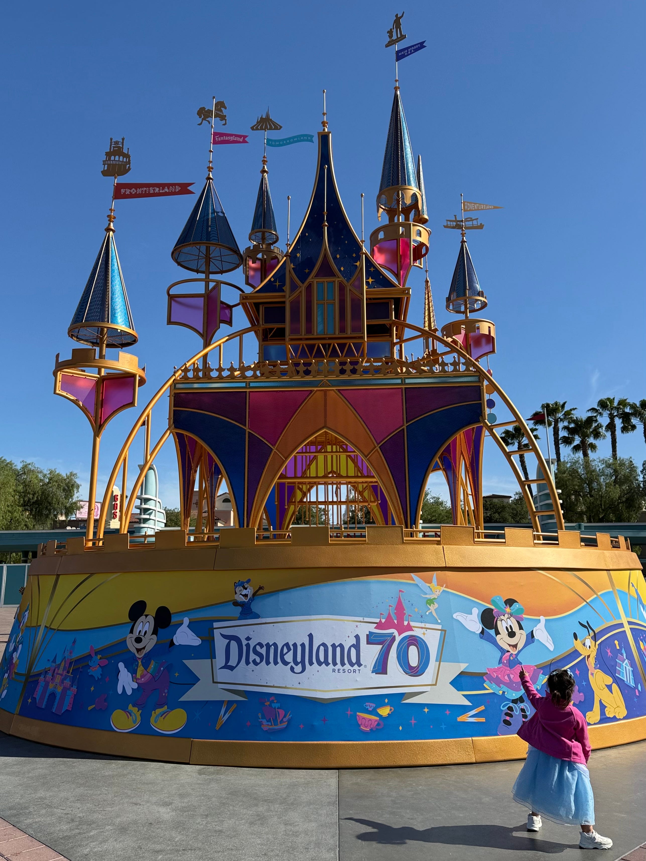Californians may soon get their hands on Disneyland license plates