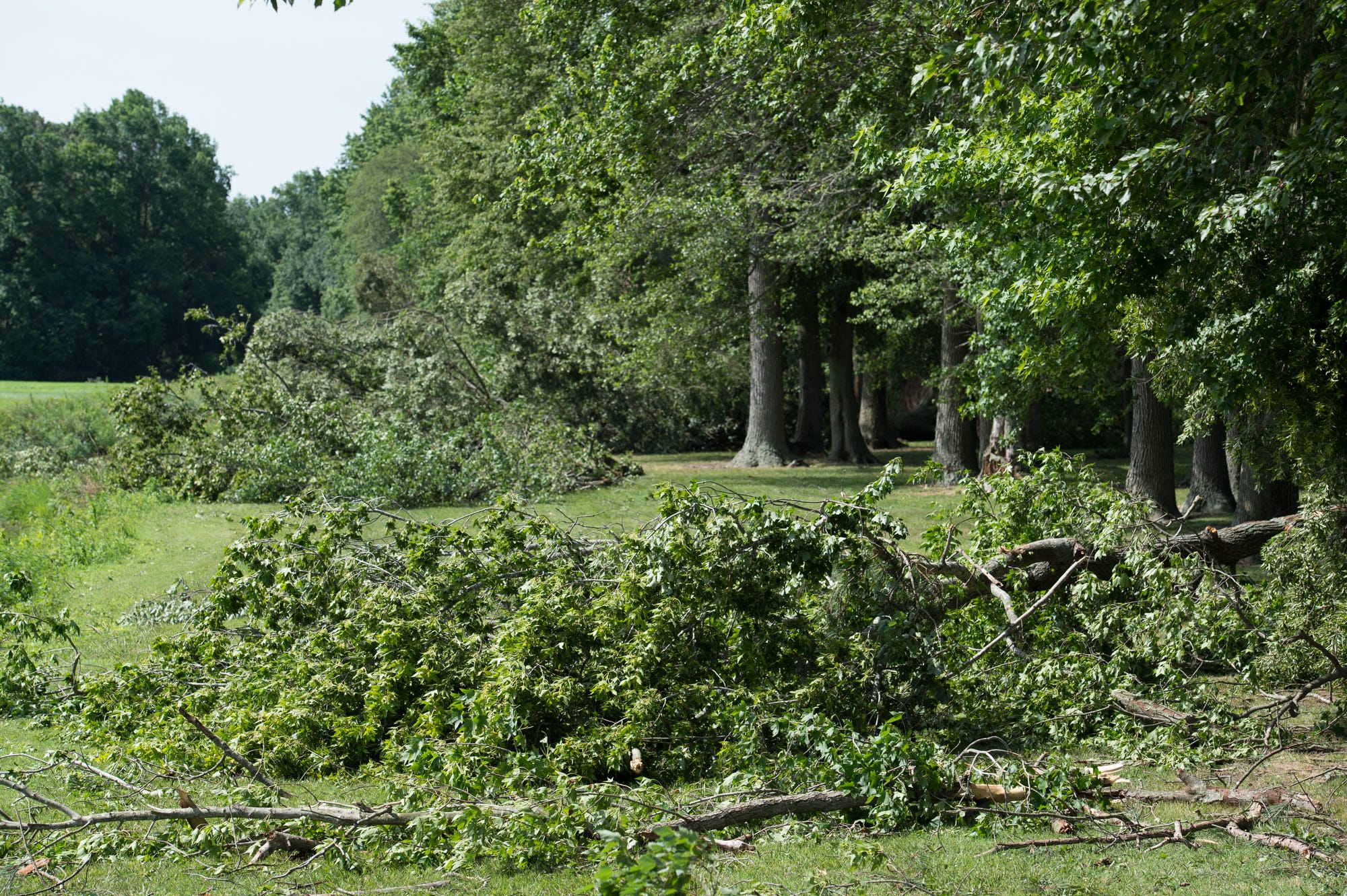 'Potential tornado' over Georgetown prompts tornado warning in Sussex ...