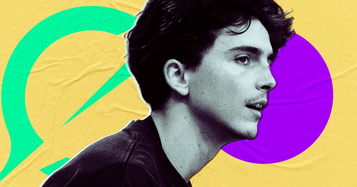 Elon Musk’s AI Bot Doesn't Believe In Timothée Chalamet Because the ...