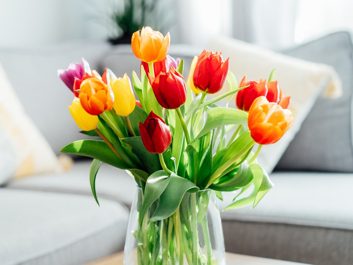 Tulip Etiquette: How to Make Spring Flowers Last Longer
