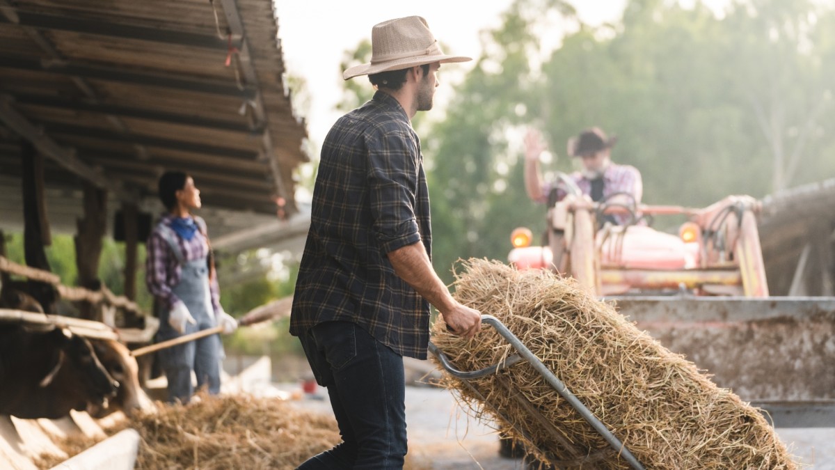 Why Most Farmers Are Accidentally Jacked—And How You Can Copy Their Routine