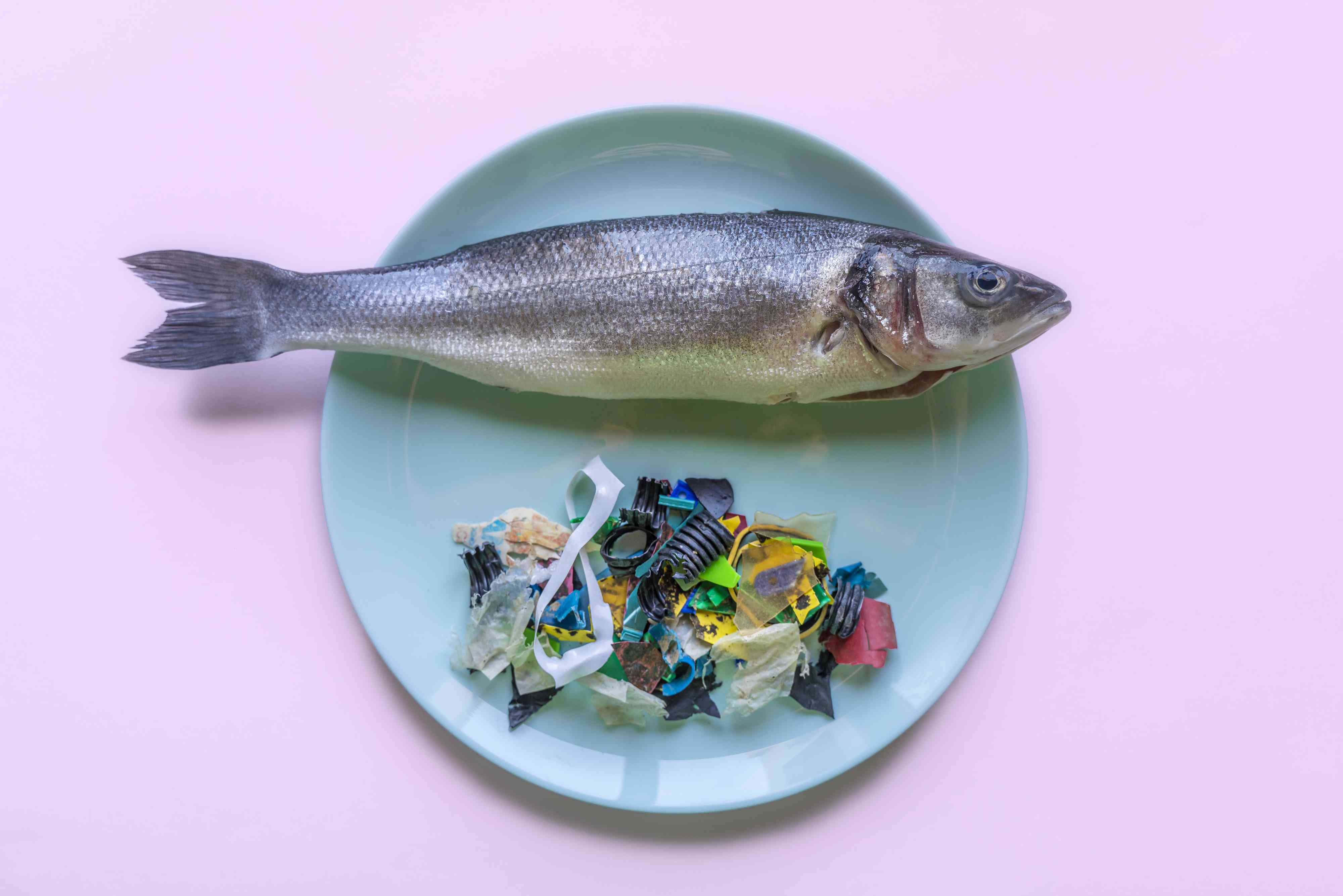 4 Things You Can Do to Reduce Your Microplastic Exposure