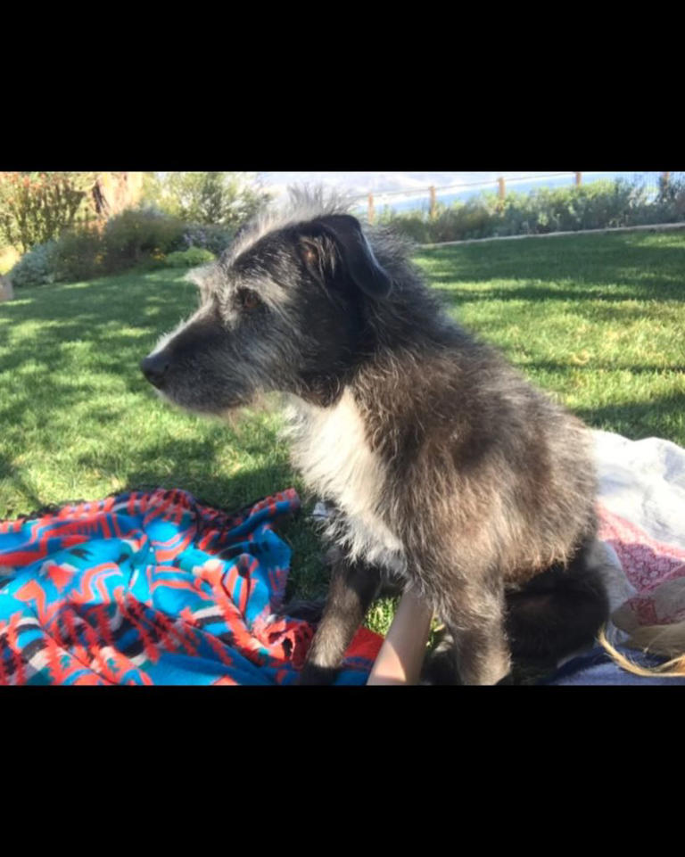 Julia Roberts shares heartbreaking family news that will impact her 3 ...