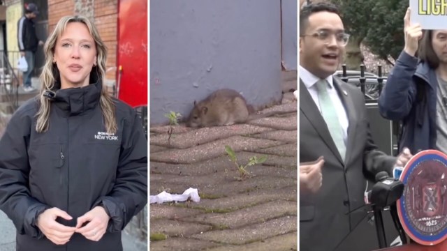 New York implements innovative new strategy to reduce its 3 million ...