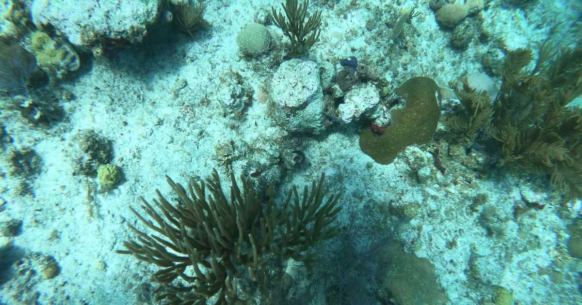 Scientists Discover Thousands of Near-Perfect Circular Depressions ...