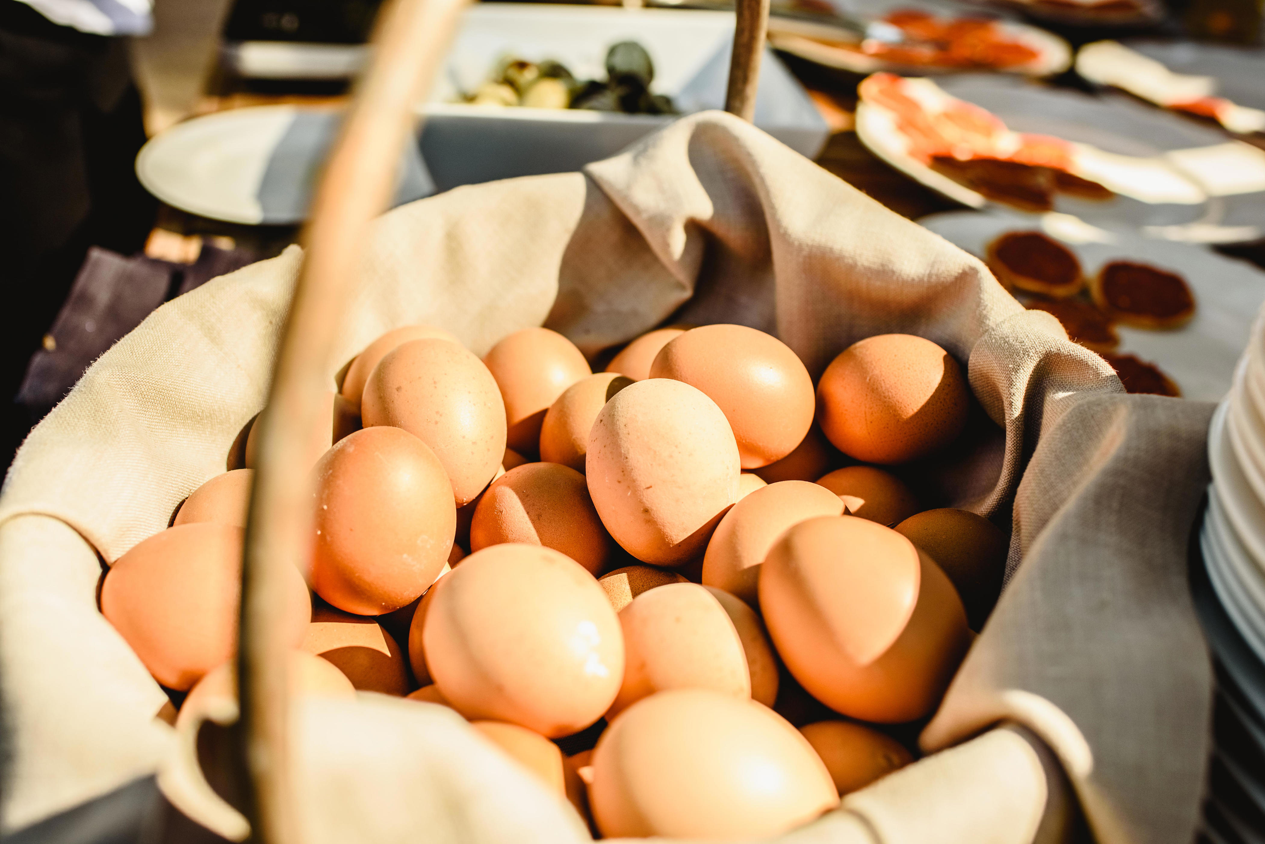 Nutrients Crucial for Fighting Chronic Fatigue and Brain Fog