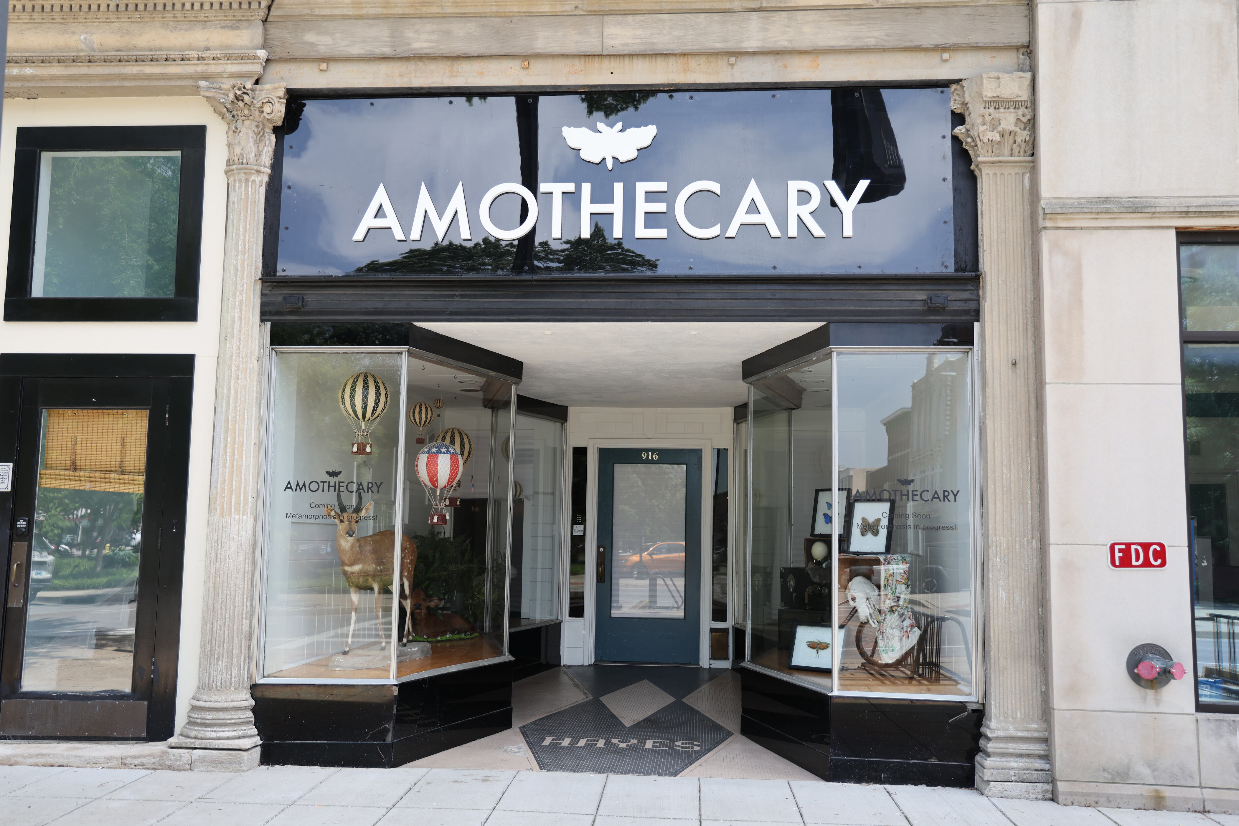 Amothecary brings the strange and unusual to downtown Bowling Green