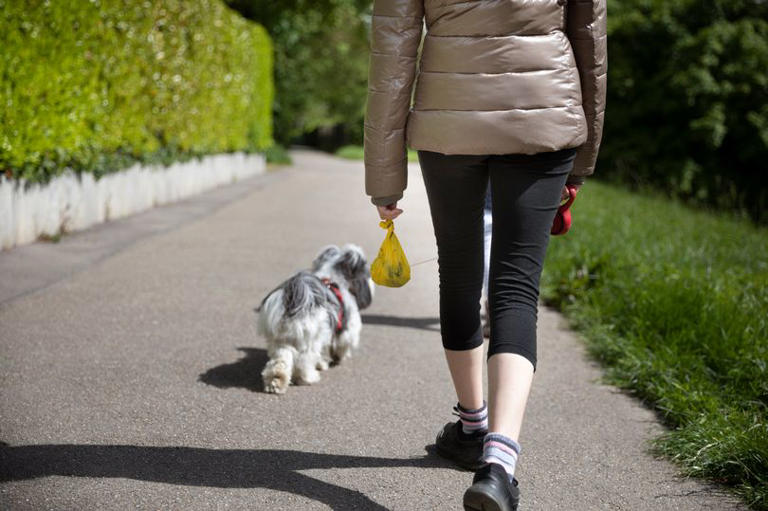 Man gets petty revenge on neighbour who refuses to pick dog poo up