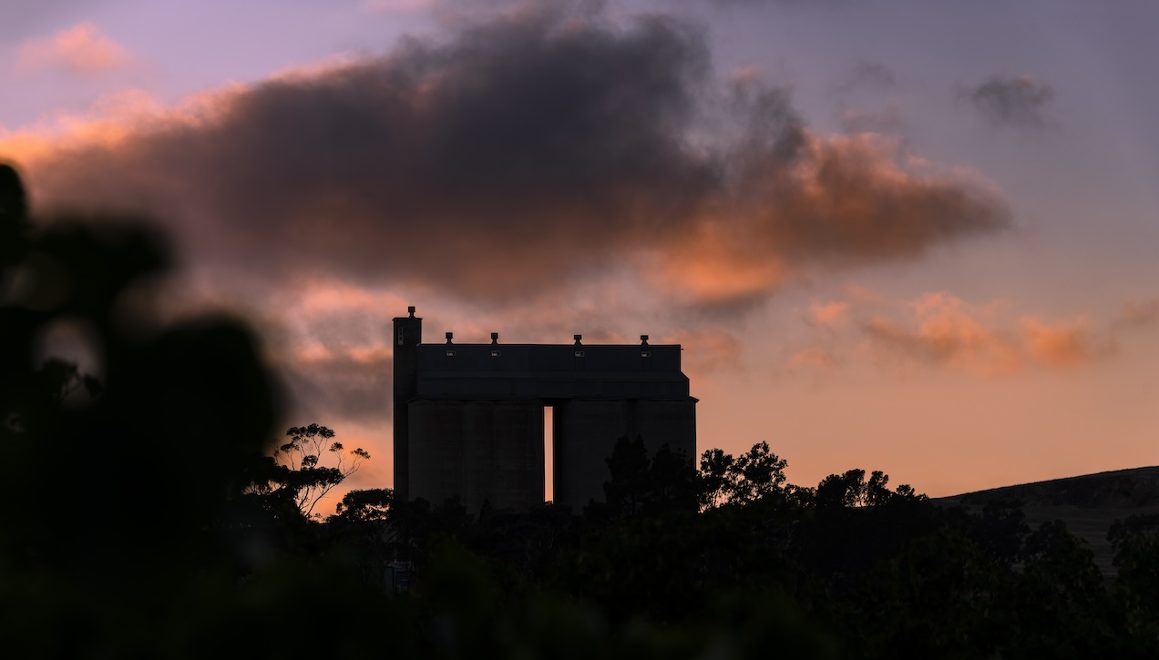 A rosy future for Grenache in Australia