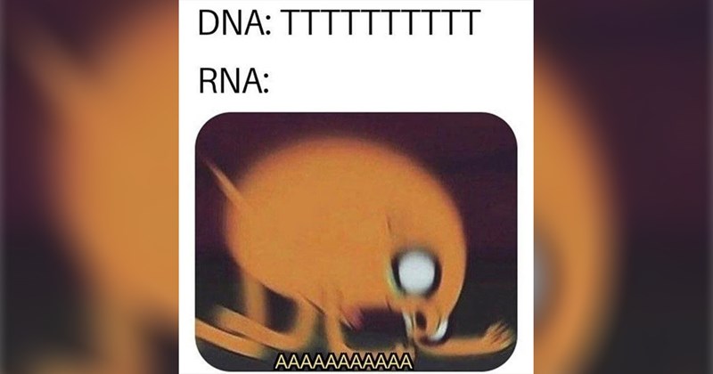 30+ Science Memes for STEM Folks With Huge Brains