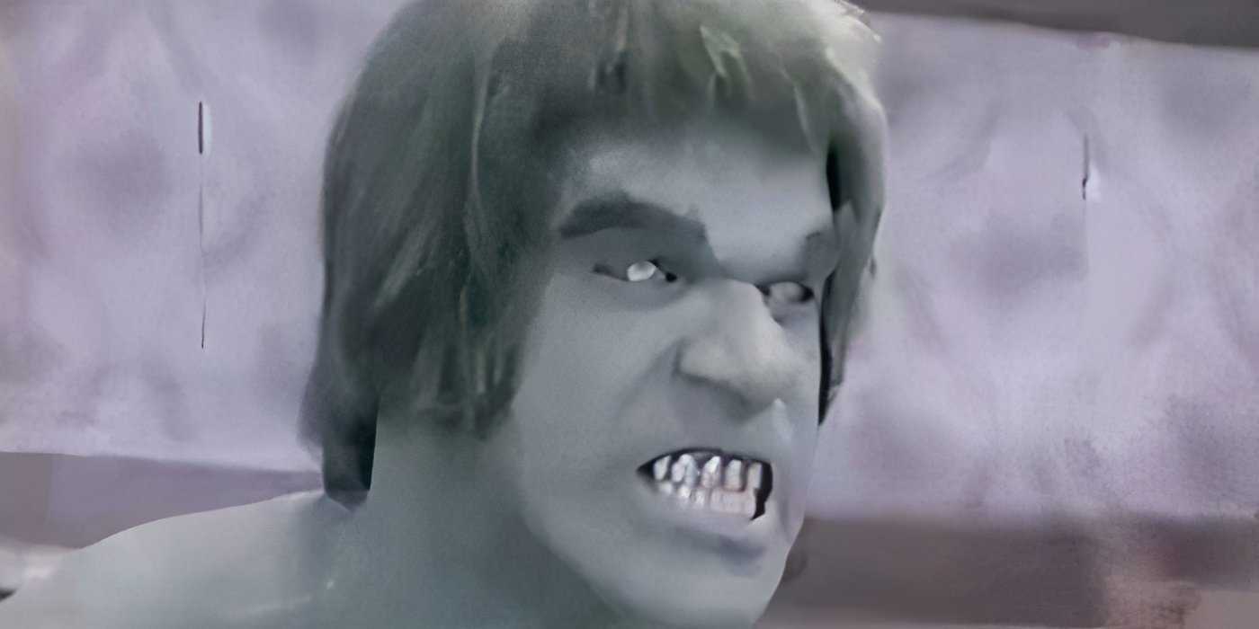 Every Lou Ferrigno Hulk Cameo And Appearance After The TV Show