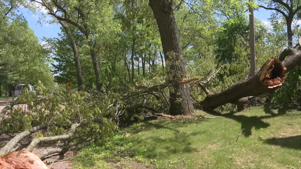 Powerful Winds Topple Trees, Down Power Lines in Portage Neighborhood