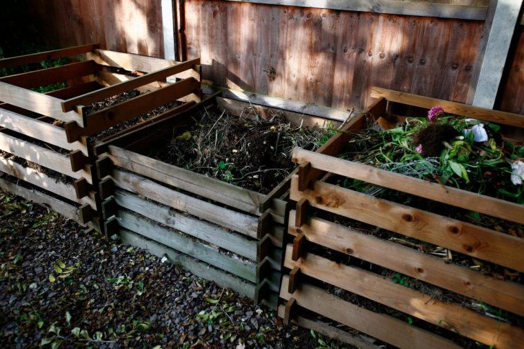 Make the most of your compost heap with these easy gardening tricks