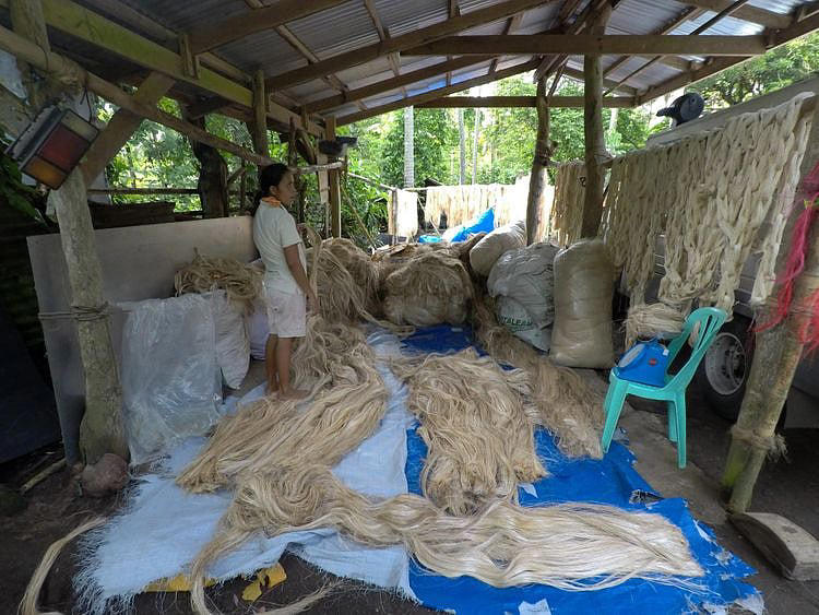 From abaca to AI: Filipino conglomerate’s leap from hemp to electricity ...