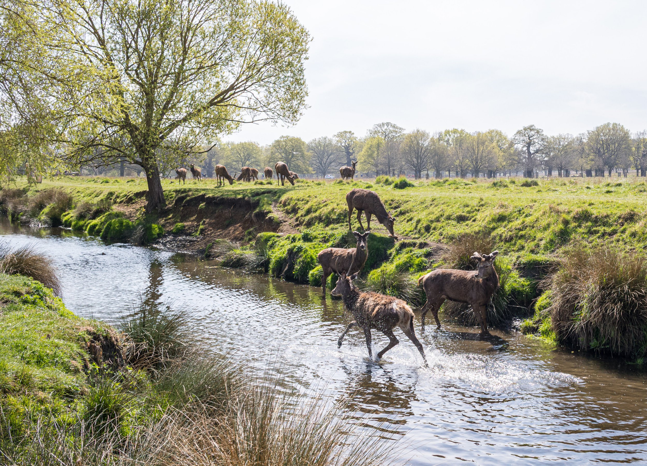 The best 'mega walk' routes in London for a sunny weekend