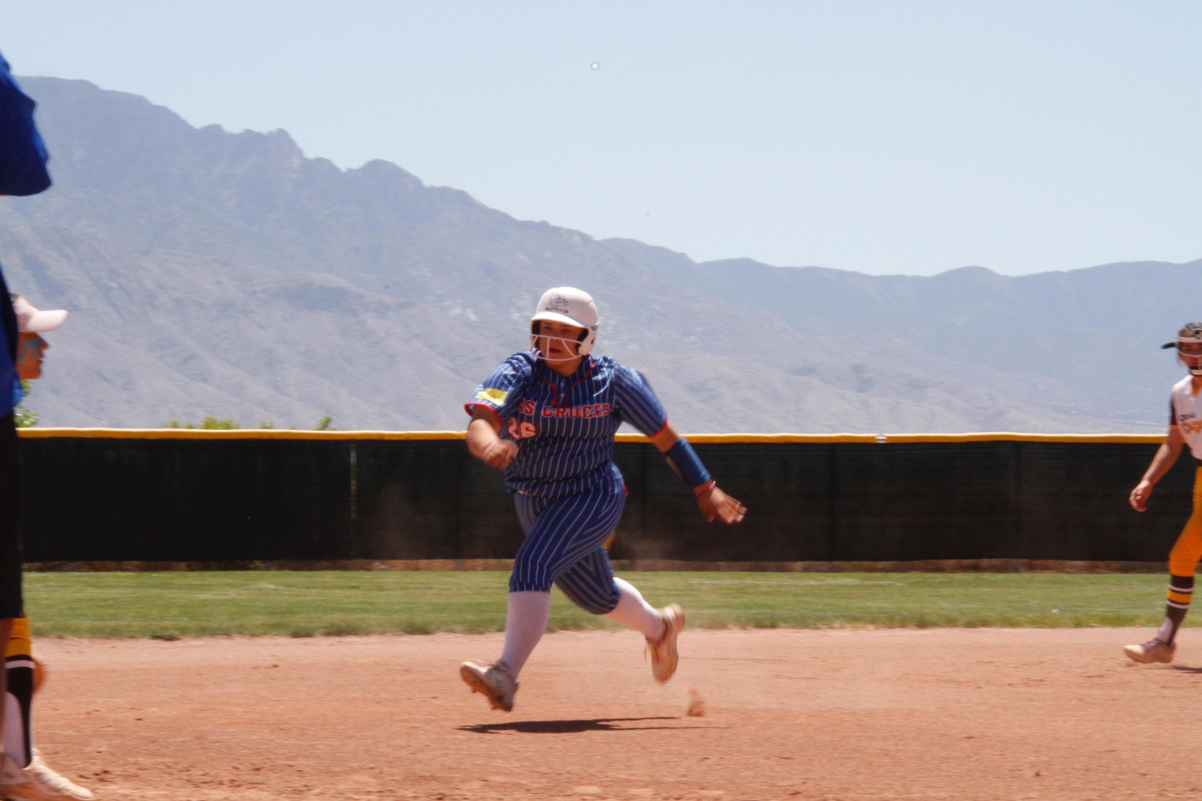 Inside Las Cruces softball's marathon playoffs day, Bulldawgs nearly ...