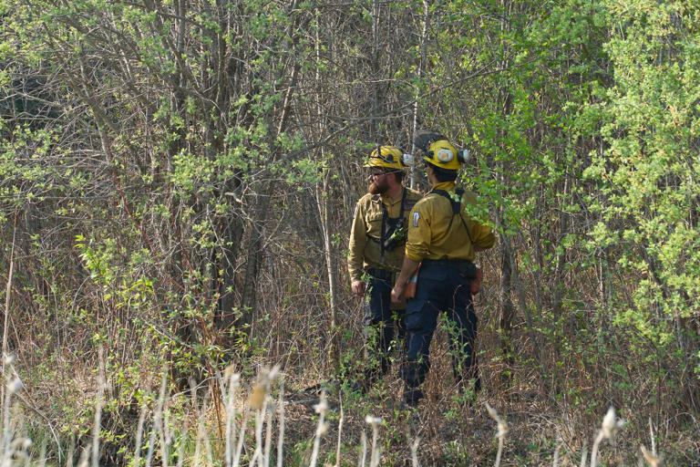 Manitoba battling 16 wildfires by Friday, largest blazes clustered in the southeast