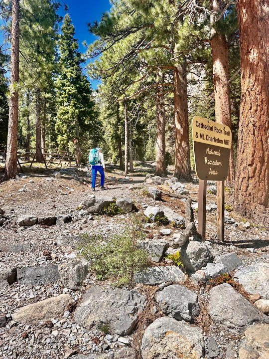 Visitors, locals beat Las Vegas valley heat, seek relief in Spring ...