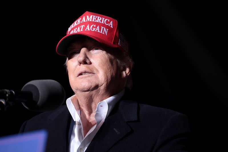 Trump stuns internet with 'bizarre' reference to everyday word as 'N word'