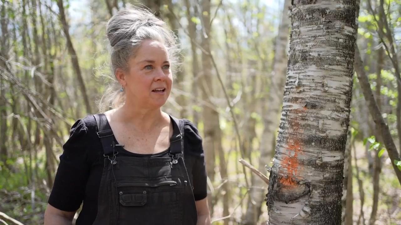 Still finding trouble in the woods: 'Blair Witch Project' star at ...