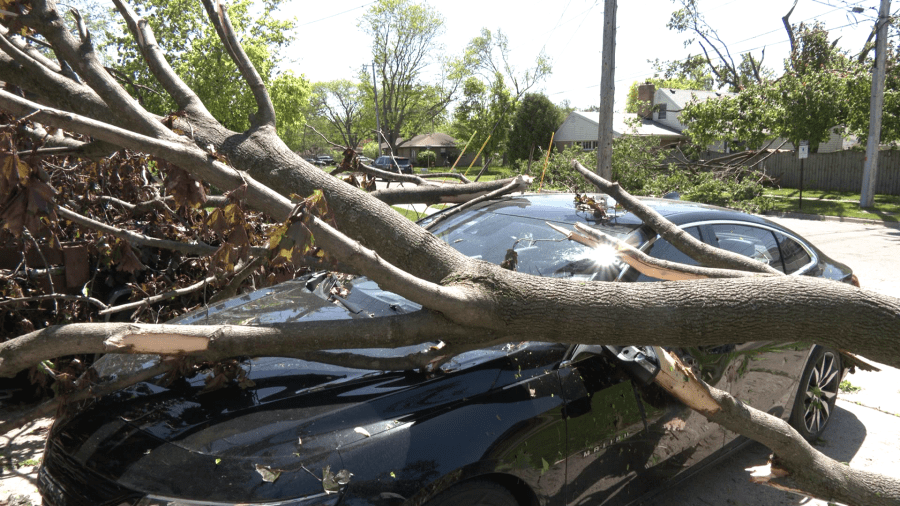 East Lansing announces storm debris collection program