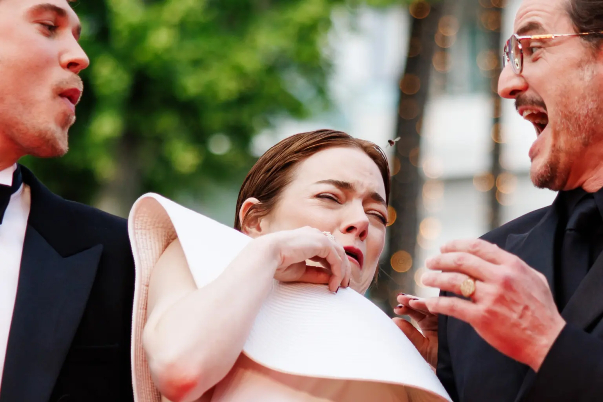 Emma Stone bị ong tấn công trên thảm đỏ Cannes