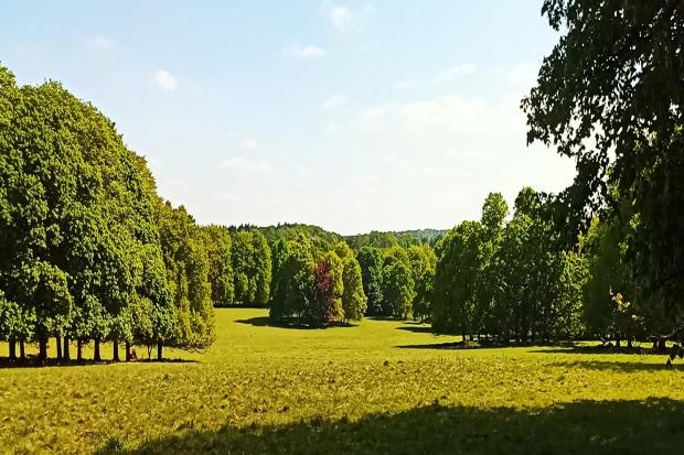 Walk of the Week: Superb six mile stroll around Cheriton with The Ramblers