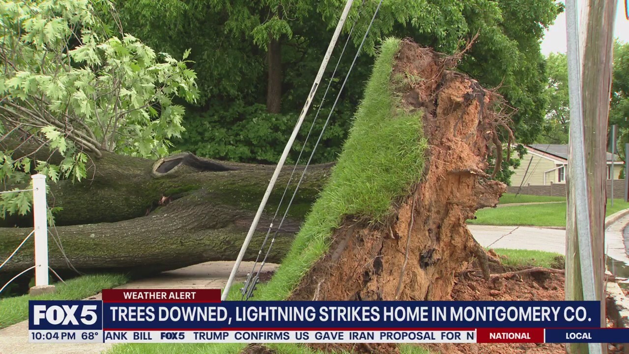 Trees toppled, home struck by lightning in Montgomery County