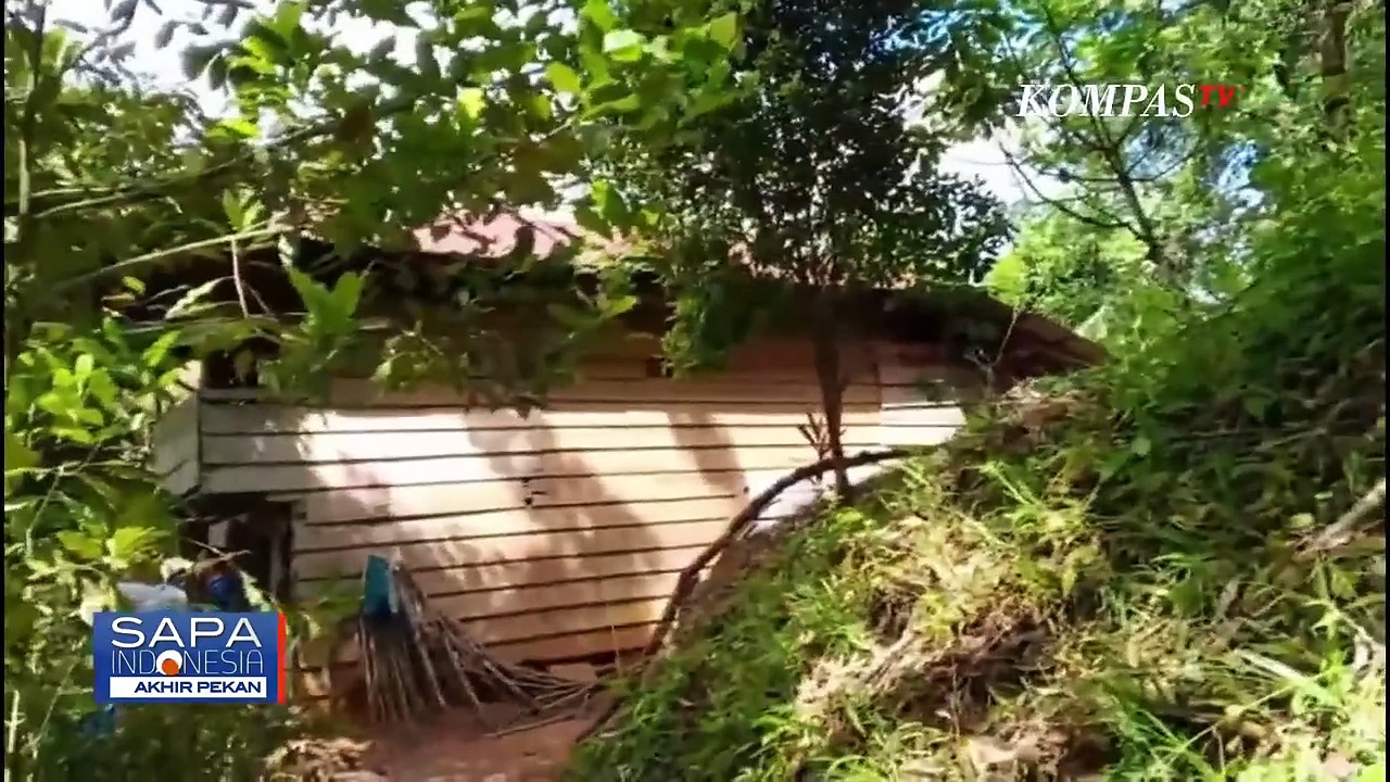 Kakak Beradik Asal Pesisir Barat Lampung Ditemukan Tewas di Dekat Rumah ...