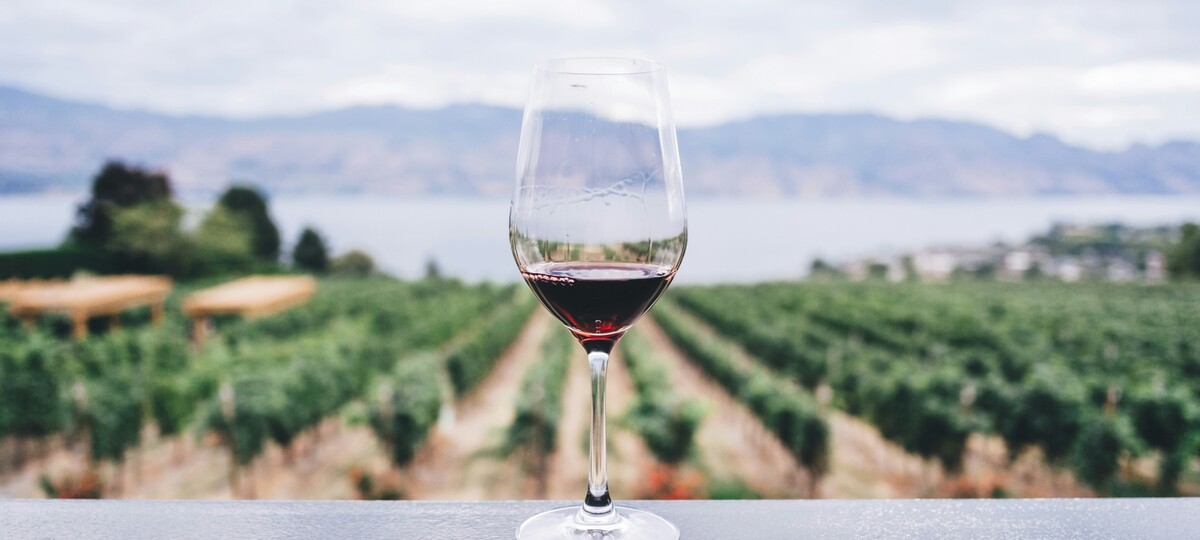 I Just Wanted a Few Sips!