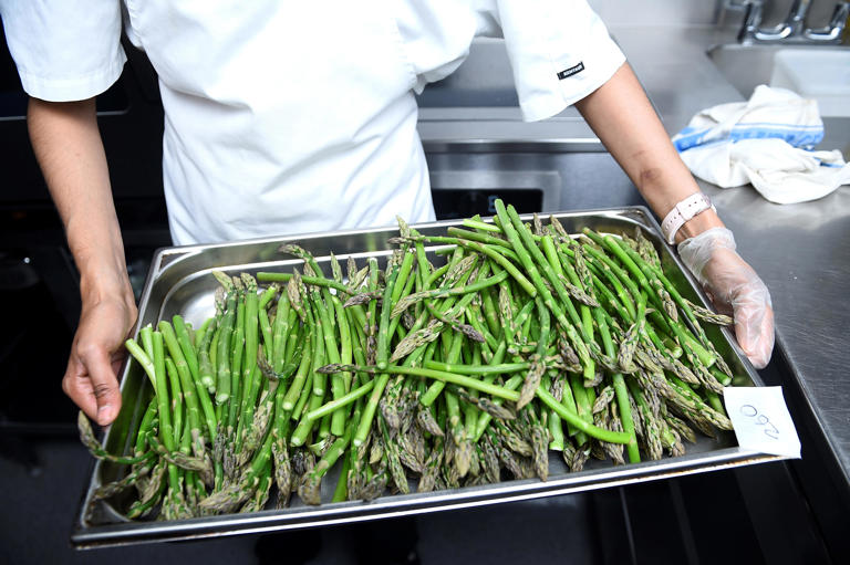 13 'AI-proof' jobs that don't require a college degree