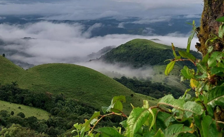 5 Cool Things To Do In Coorg For The Perfect Summer Vacation