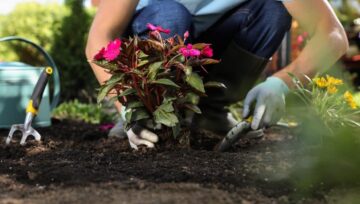 36 Years of Dedication: Wayne Couple Cultivates a Lush, Vibrant Garden ...