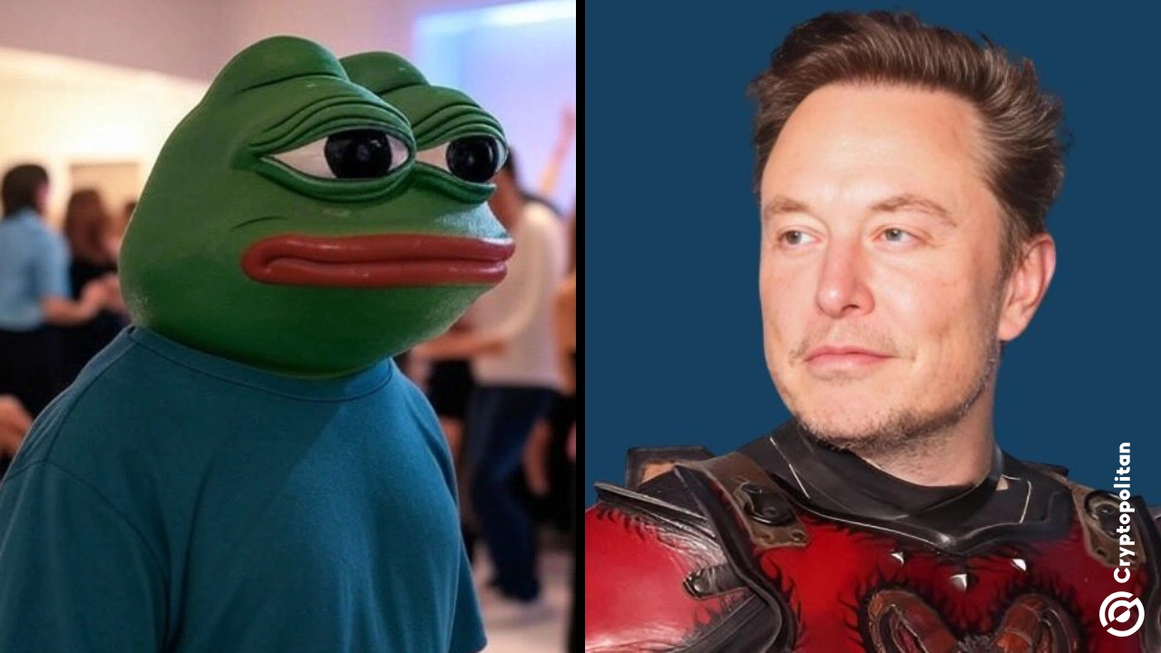 Kekius Maximus token soars 120% after Elon Musk updates X profile