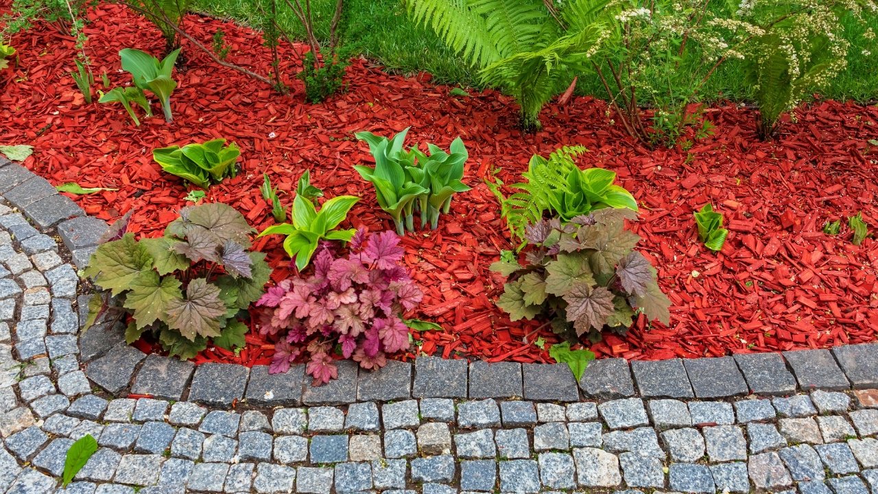 10 outdated landscaping trends you’ll regret keeping