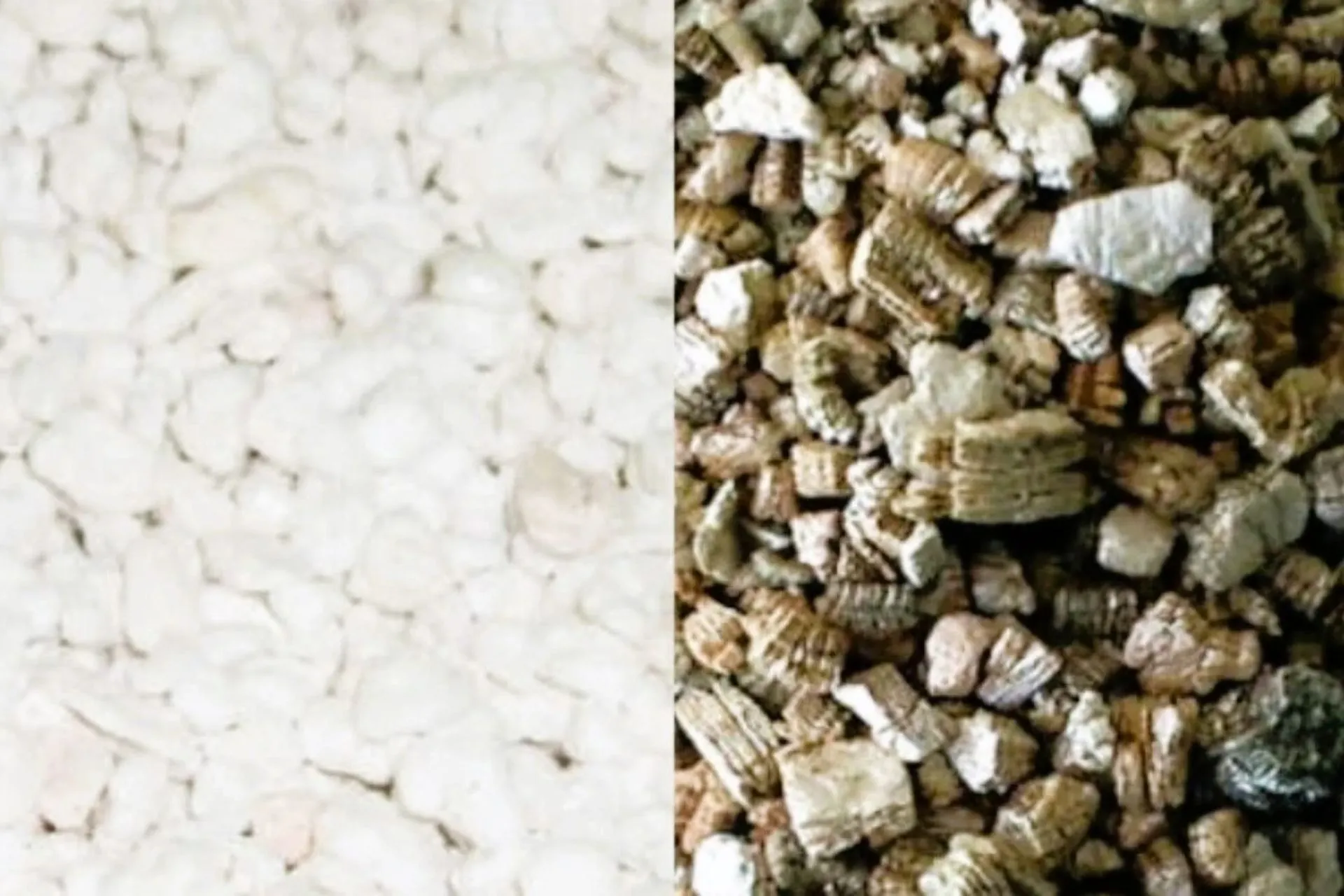 Differenza tra perlite e vermiculite e quale scegliere