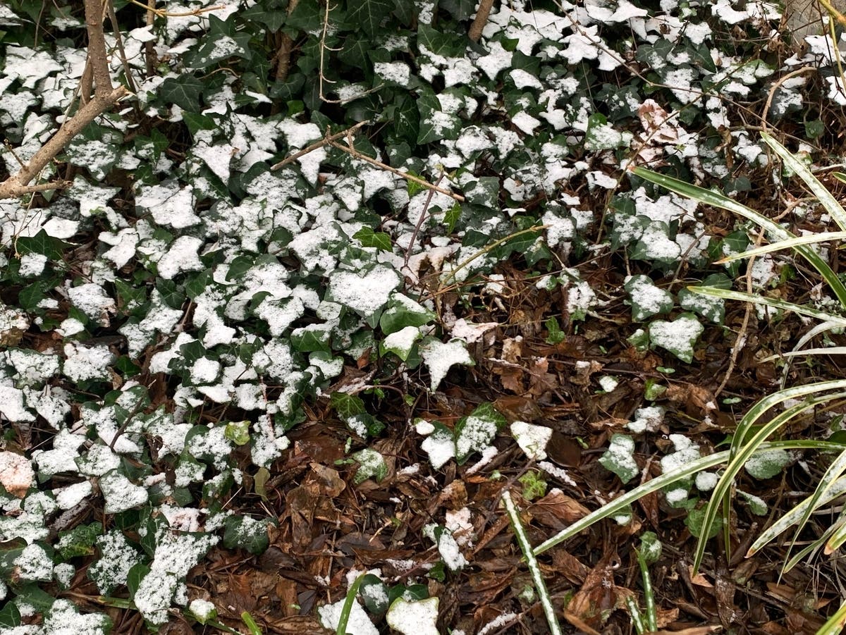 Patchy Frost Possible Overnight In Twin Cities And Beyond: MN Weather