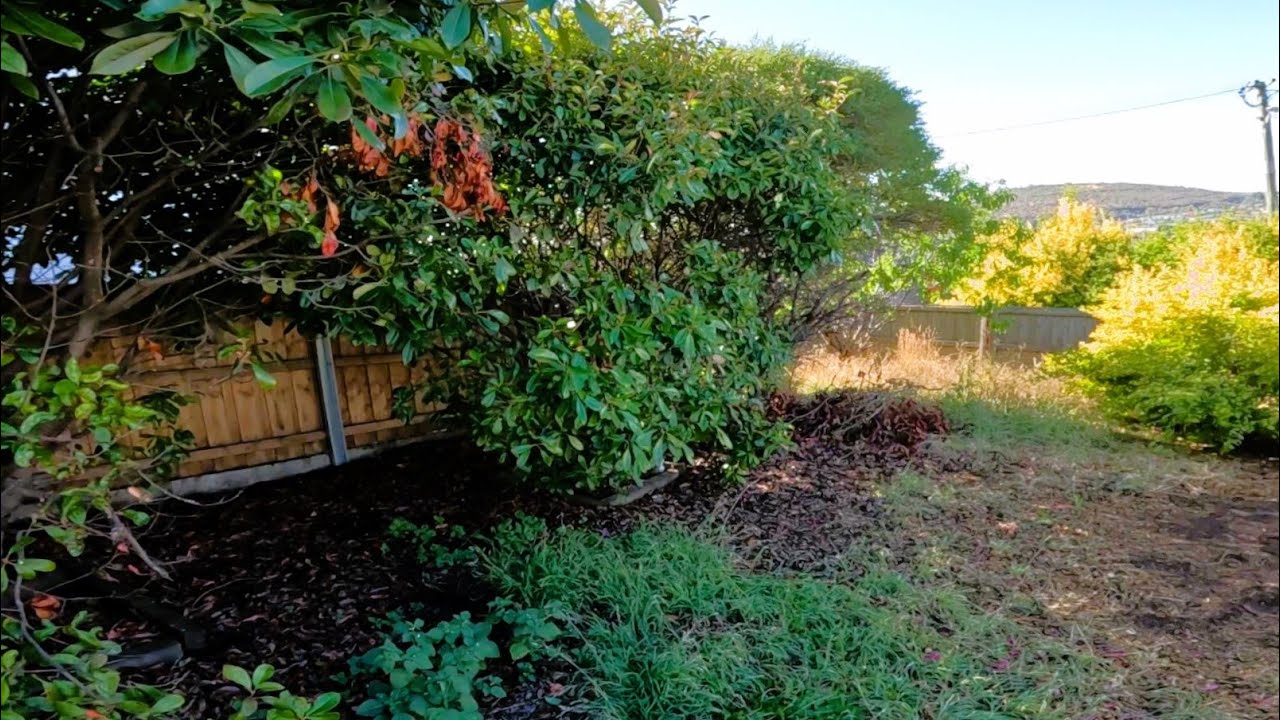 Mowing Contractor Transforms Overgrown Yard