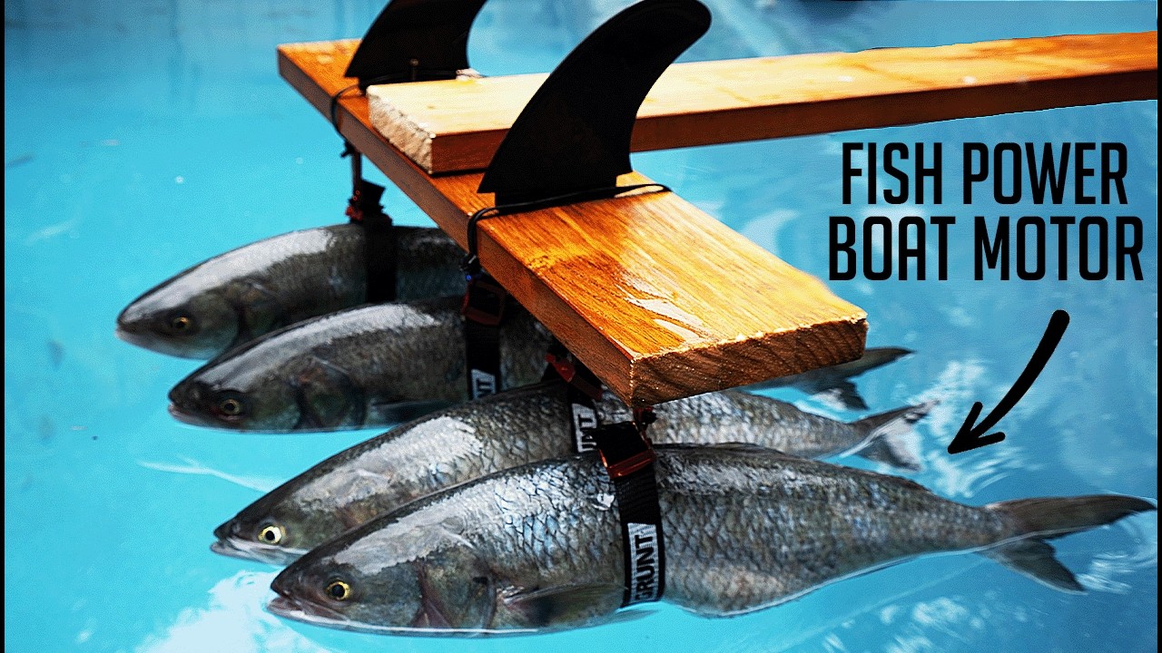 I made a fish chariot to pull my boat