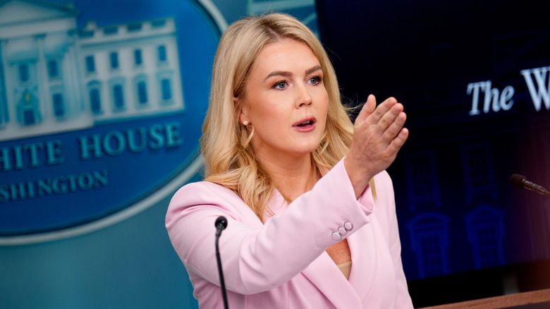 Karoline Leavitt Once Exposed Her Own Bad Makeup Skills & We're ...