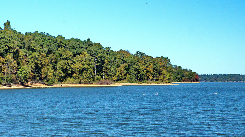Kentucky's Land Between The Lakes Is A Sprawling Recreation Water ...