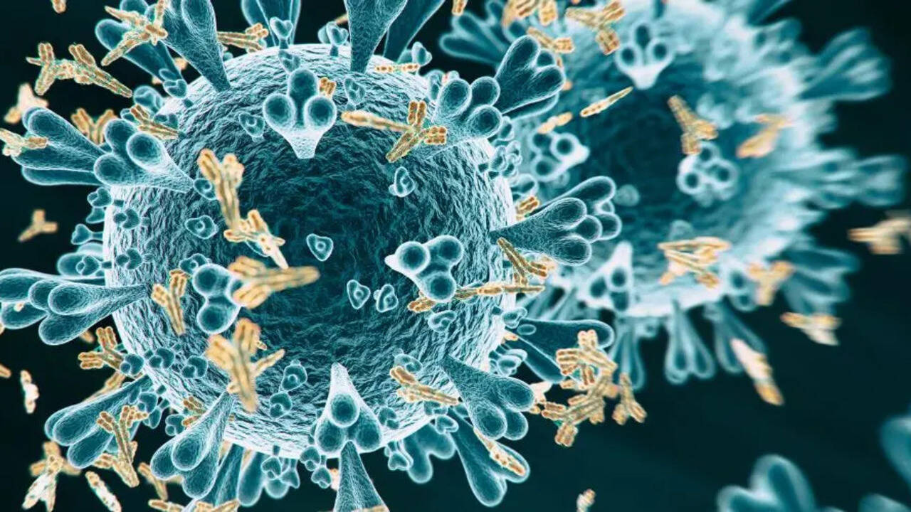 Long COVID 'Brain Fog' Linked To Inflammation, Stress Markers: Study